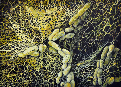 Laura Ahola Young: Prodromes | Art Galleries at PCC