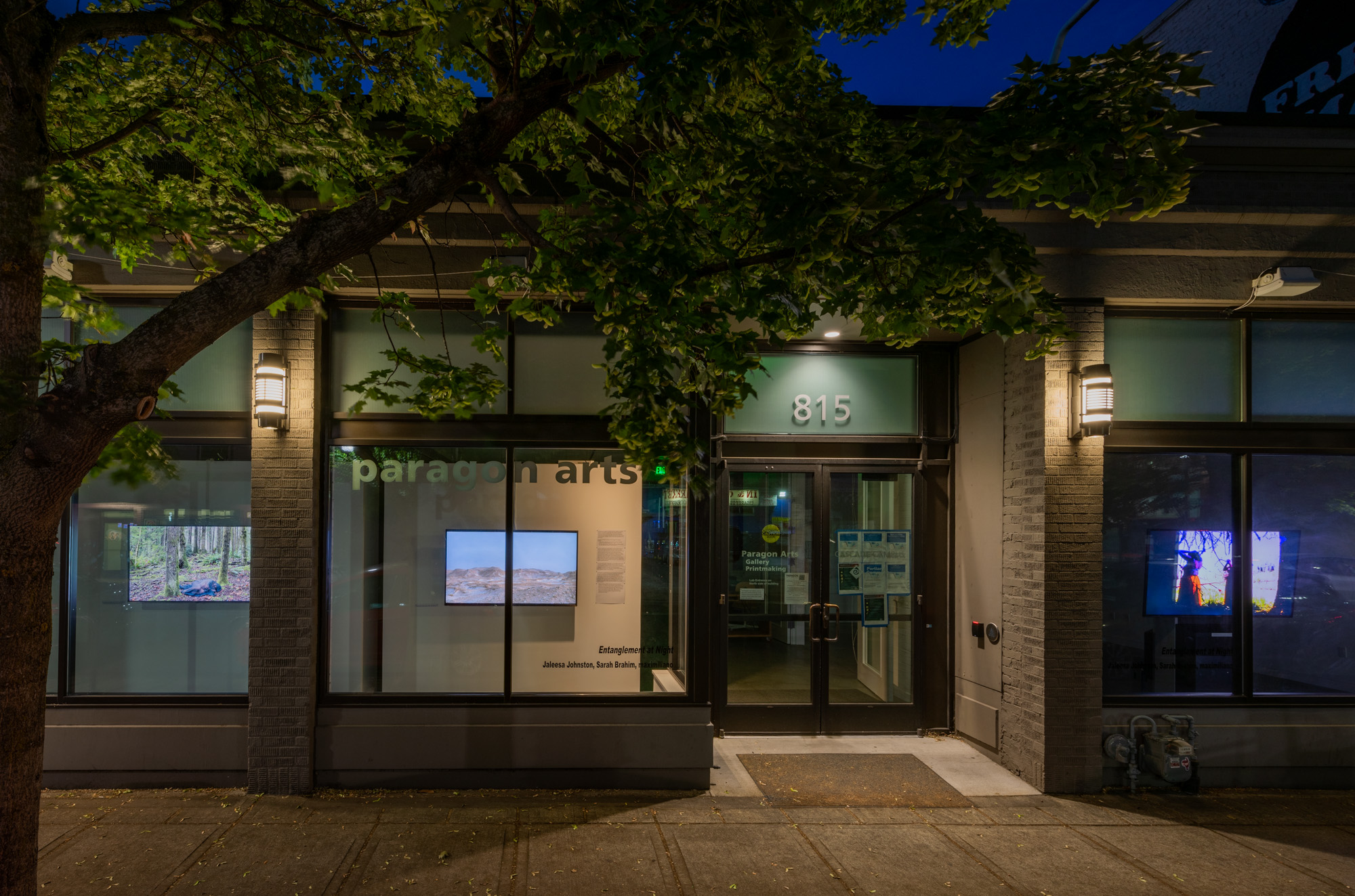 Entanglement at Night, window exhibition | Art Galleries at PCC