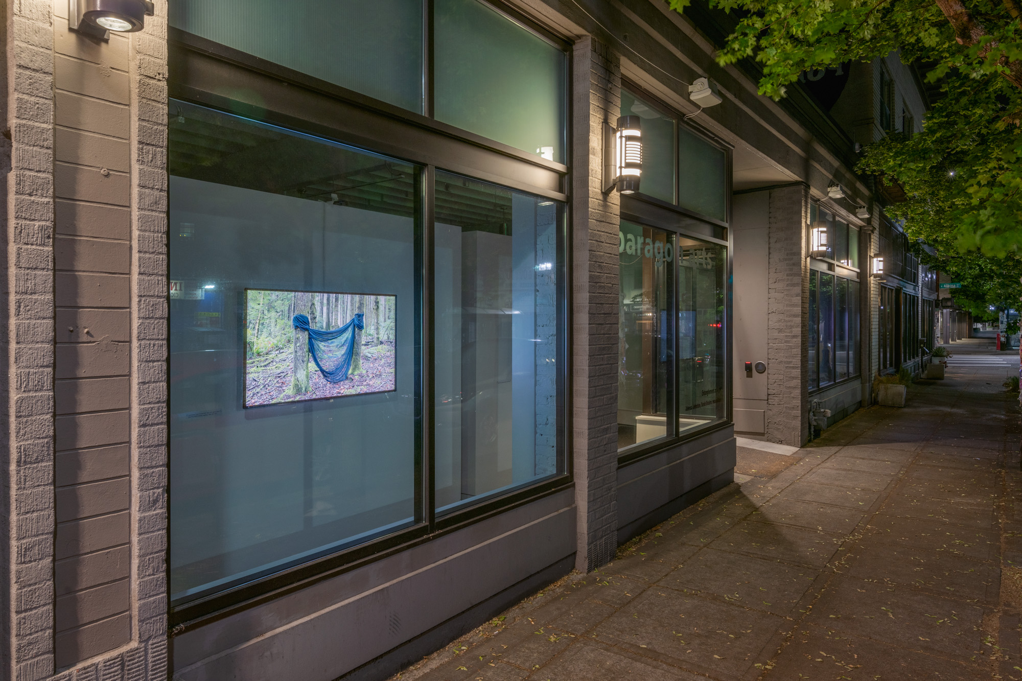 Entanglement at Night, window exhibition | Art Galleries at PCC