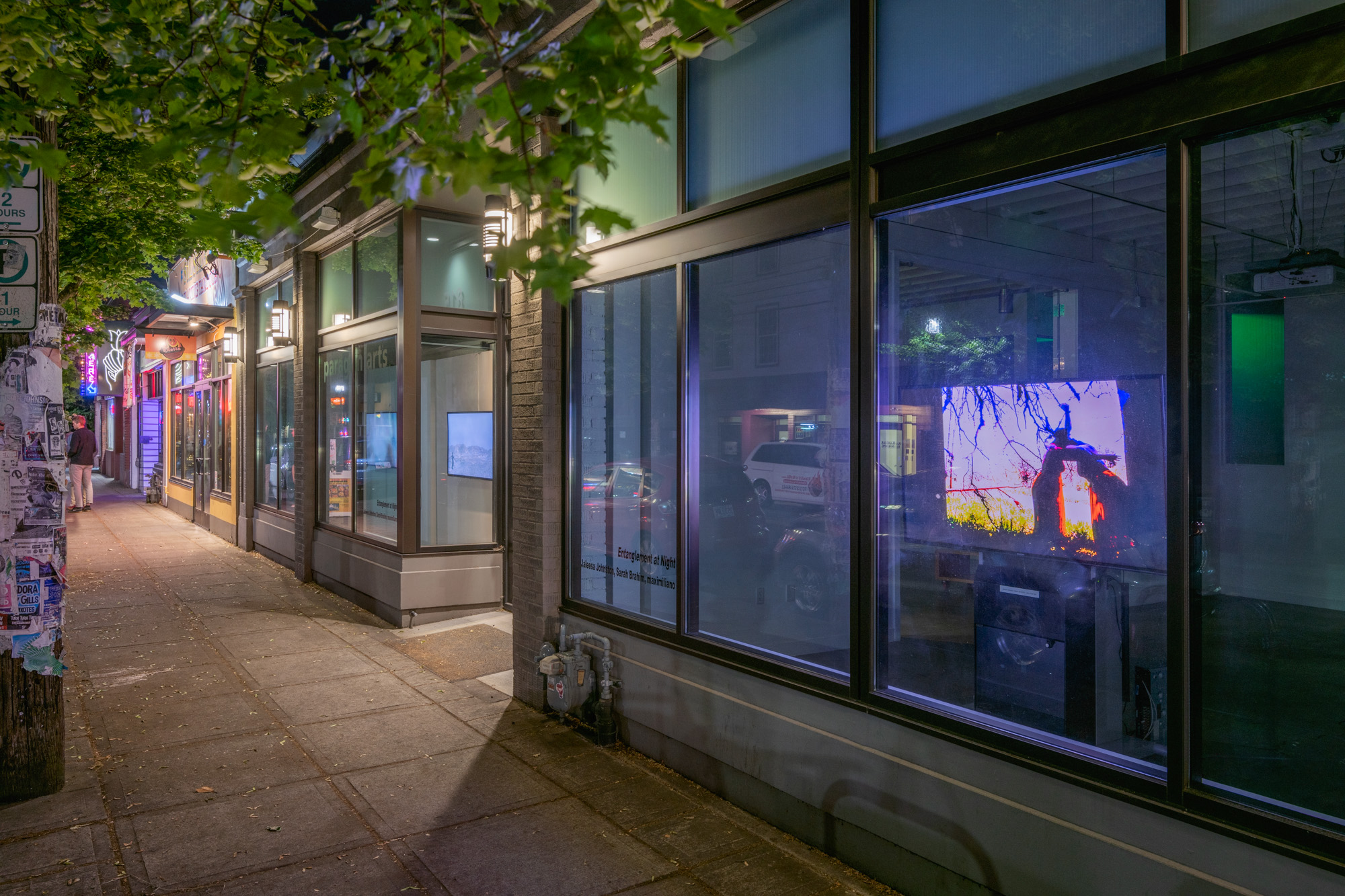 Entanglement at Night, window exhibition | Art Galleries at PCC