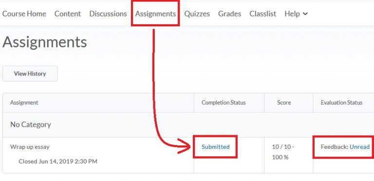 Downloading Content in D2L Brightspace | Learning Technology Help Desk ...