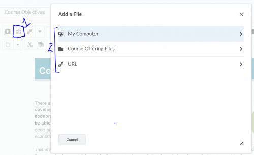 D2L Brightspace/Web Pages | Instructional Support at PCC