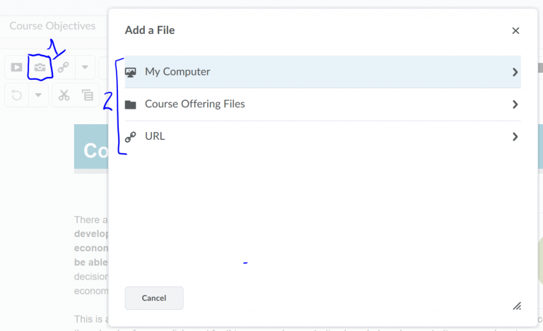 D2L Brightspace/Web Pages | Instructional Support at PCC