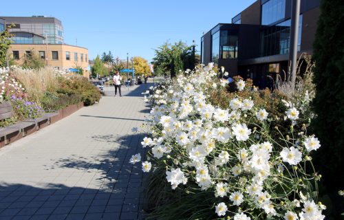 Cascade Campus | Locations at PCC