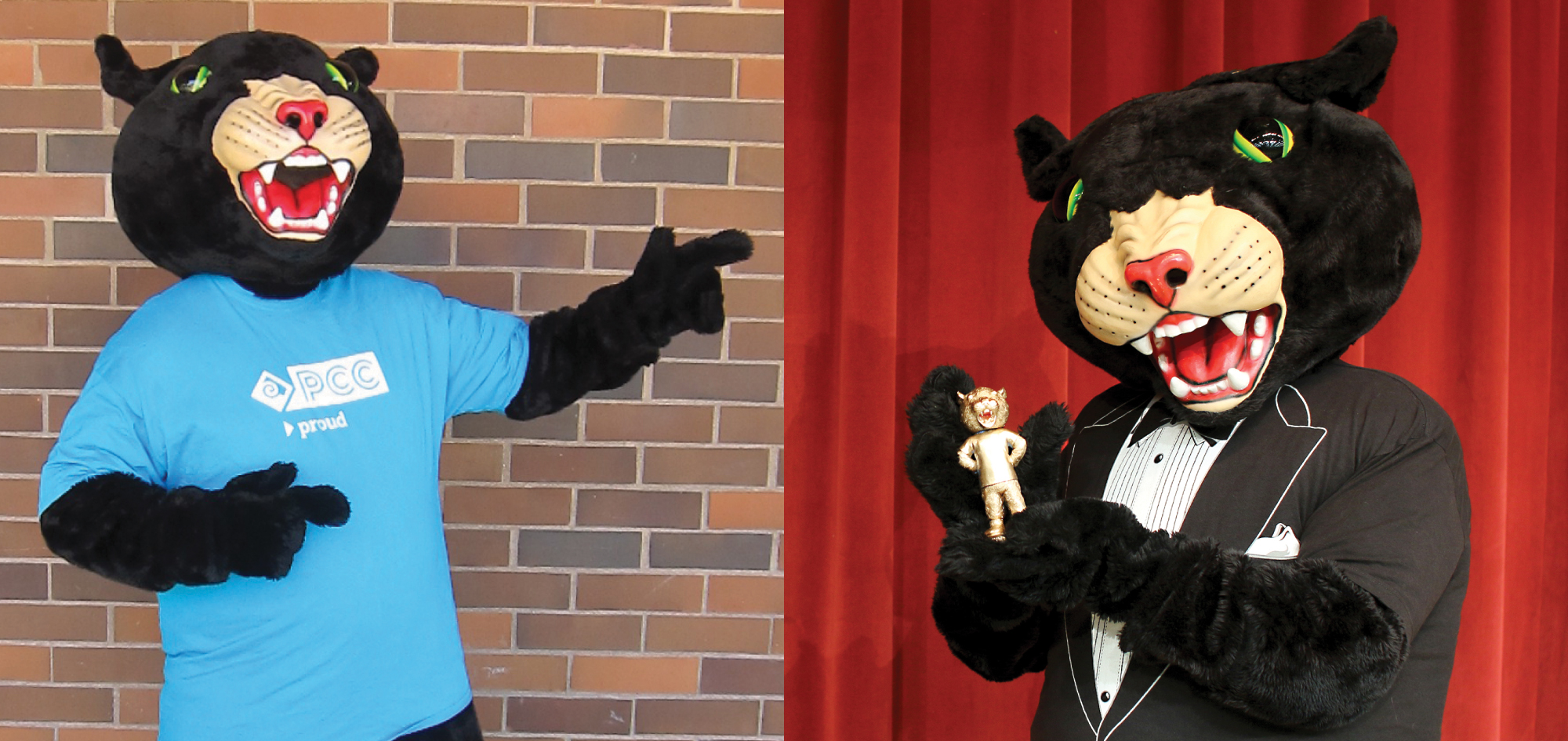 Poppie the Panther | Marketing and Communications at PCC
