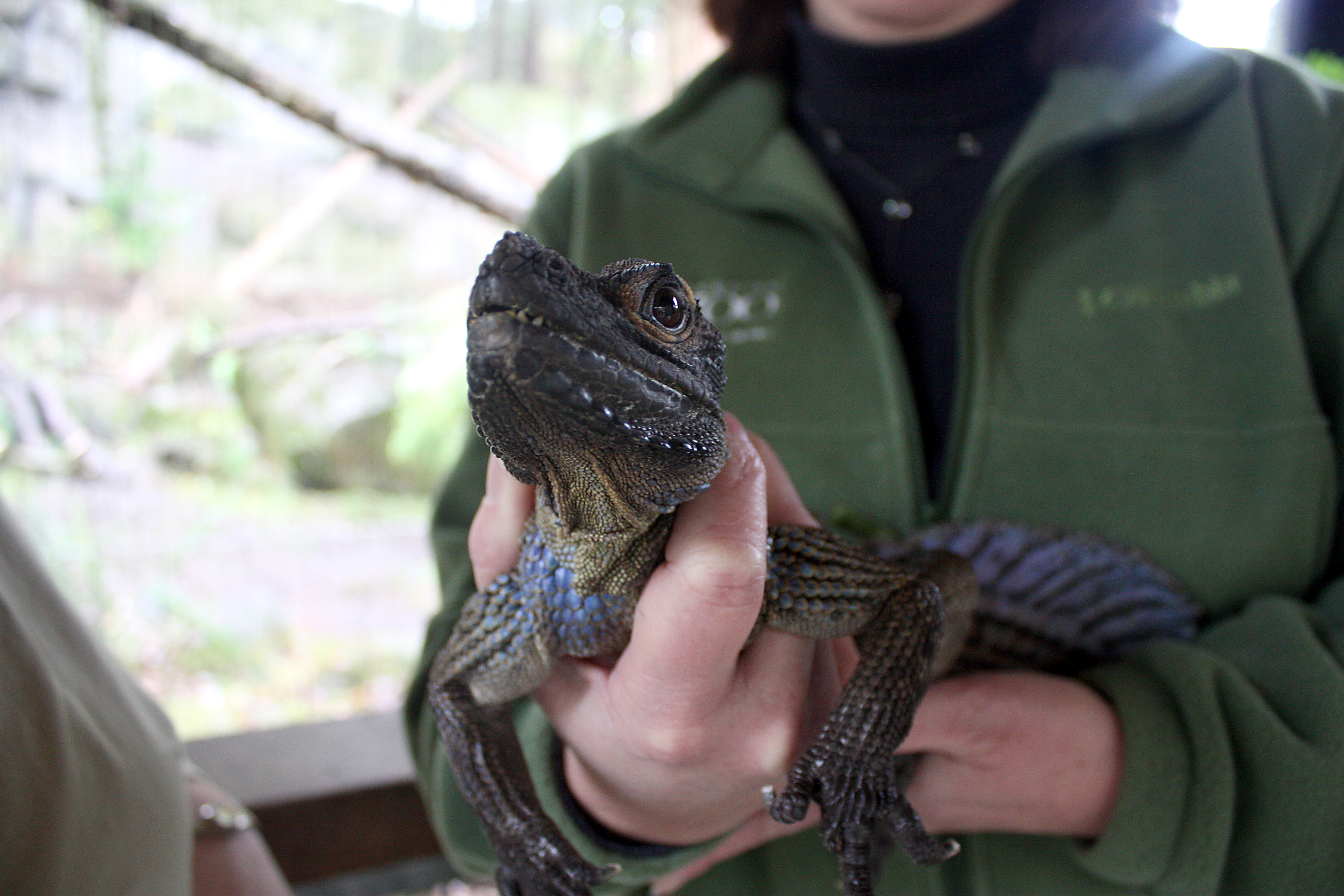 College partners with Oregon Zoo | News at PCC