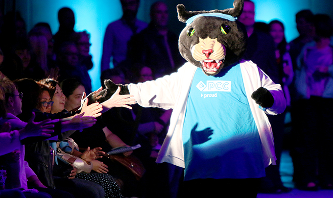 Panthers in the Spotlight | News at PCC