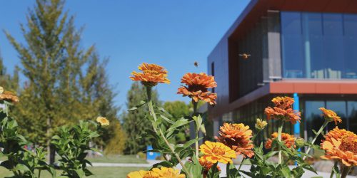 New Landscape | News at PCC