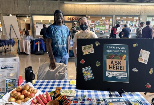 Peer Navigators Become Trail Blazers | News at PCC