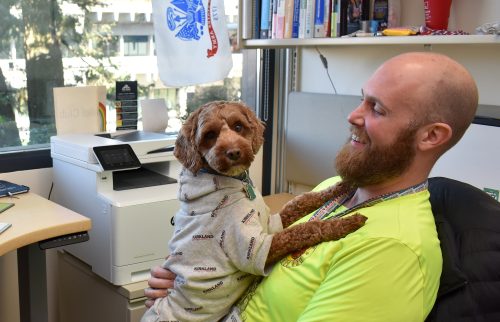 Student Vets Loving 'Dog Days' at PCC | News at PCC