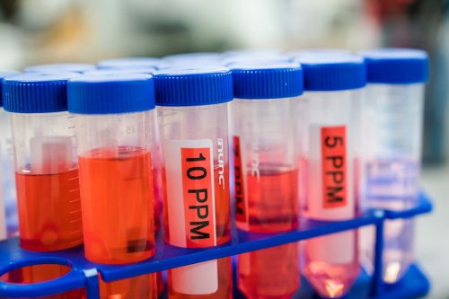 Taking Brain Science to New Level | News at PCC