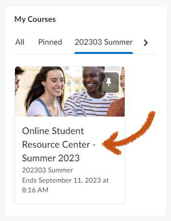 Online student resource center | Online Learning at PCC