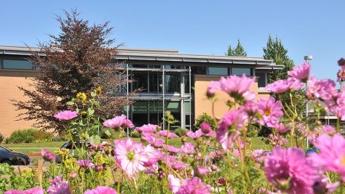 Landscape Technology Design, associate degree | Landscape Technology at PCC