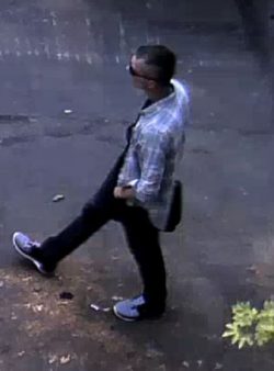 Cascade: August 24, 2017 | Public Safety at PCC