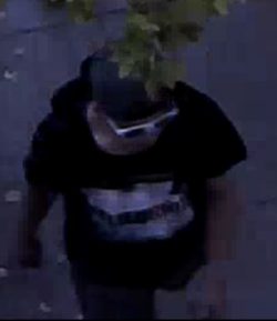 Cascade: August 24, 2017 | Public Safety at PCC