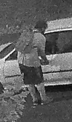 Cascade: August 24, 2017 | Public Safety at PCC