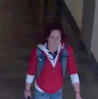 Southeast: November 13, 2017 | Public Safety at PCC