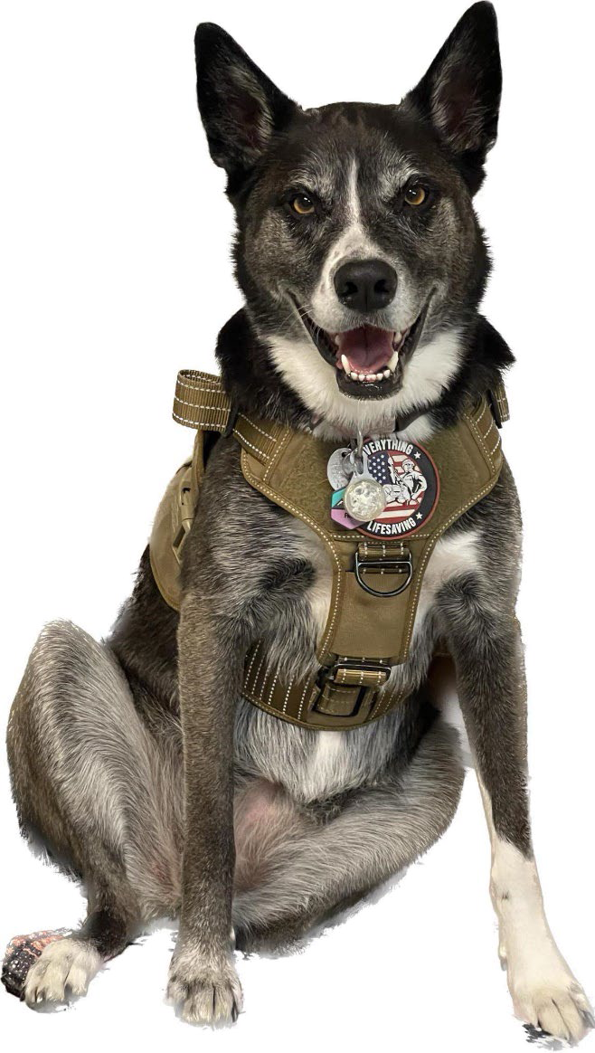 Emergency Preparedness and Response | Public Safety at PCC