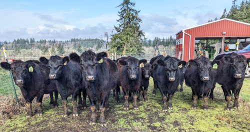 Rock Creek Farm at PCC
