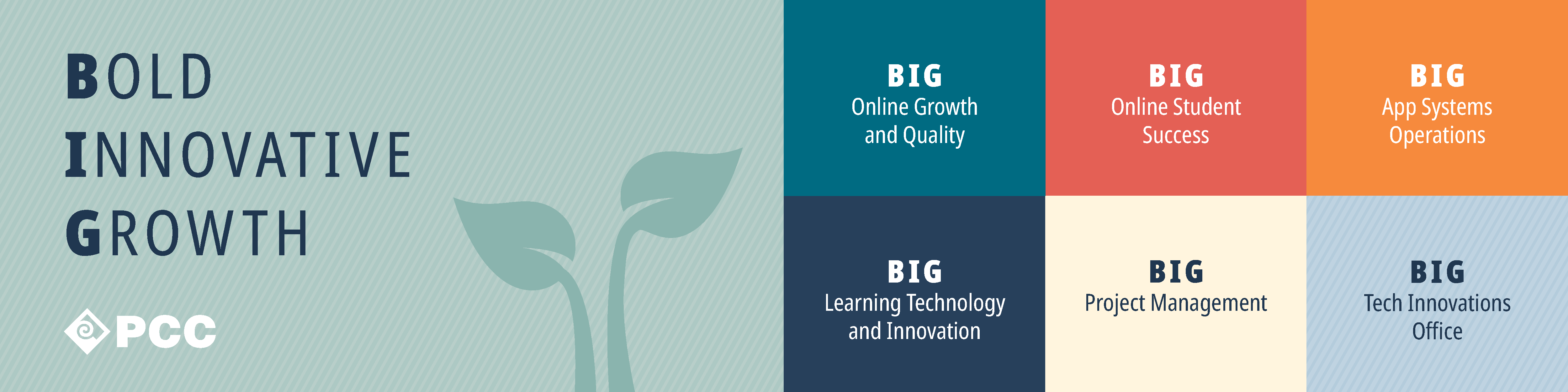 Bold Innovative Growth (BIG Project for Multiple Modalities ...