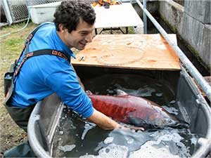 Sustainability Staff | Sustainability at PCC