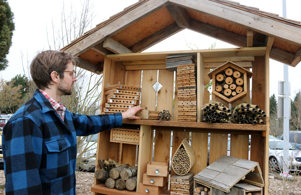 Bee Campus USA | Sustainability at PCC