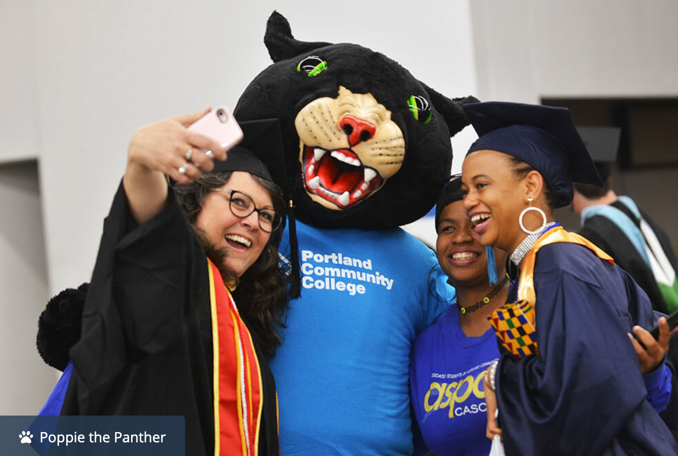 Poppie | Web services at PCC